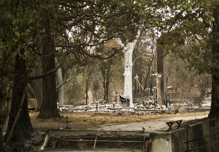 YPO | Wildfires and Wine: How Napa Valley Endures, Recovers | YPO