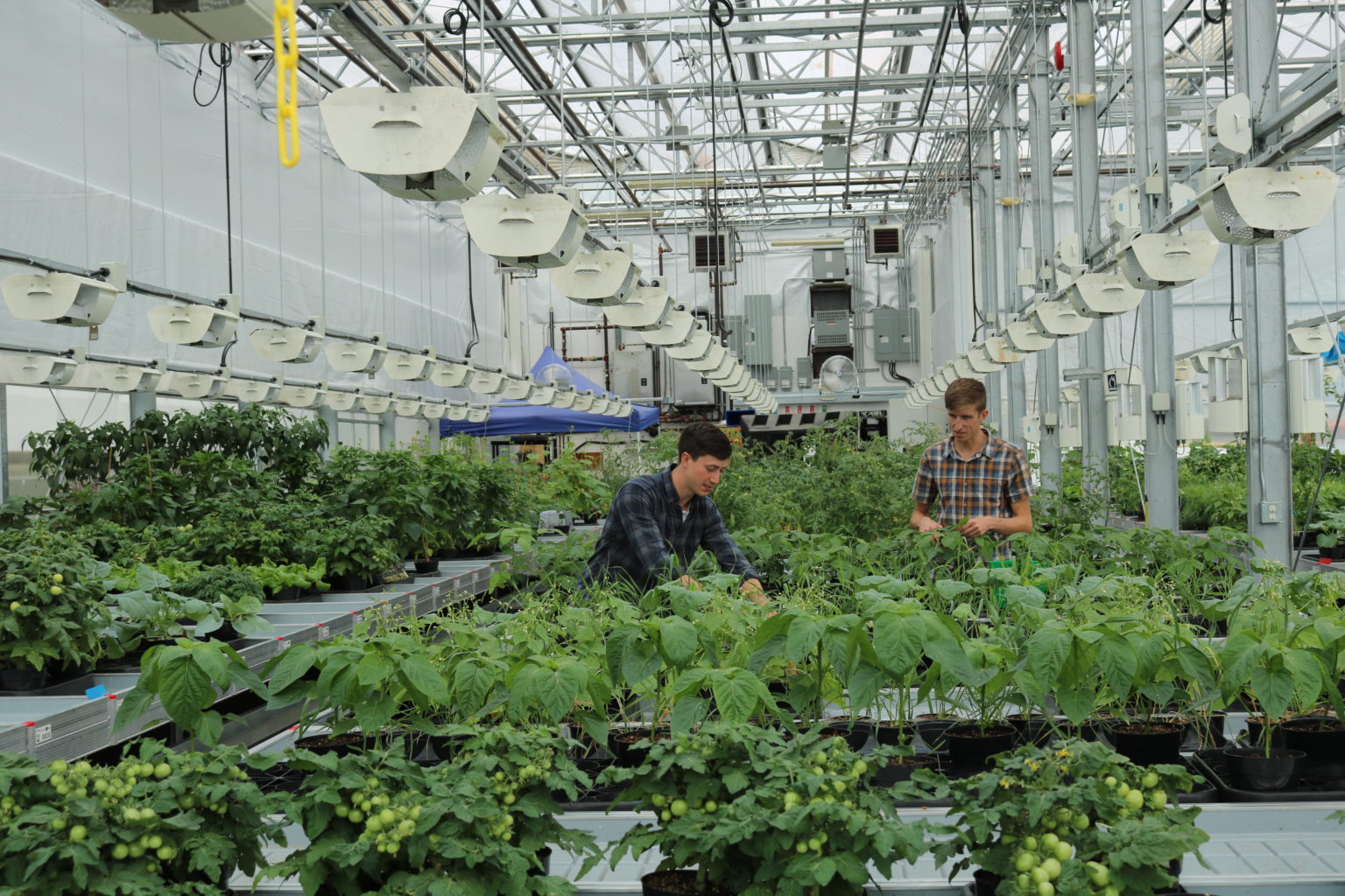 YPO | Top-down Office Culture is Over — Here's What Should Come Next | YPO