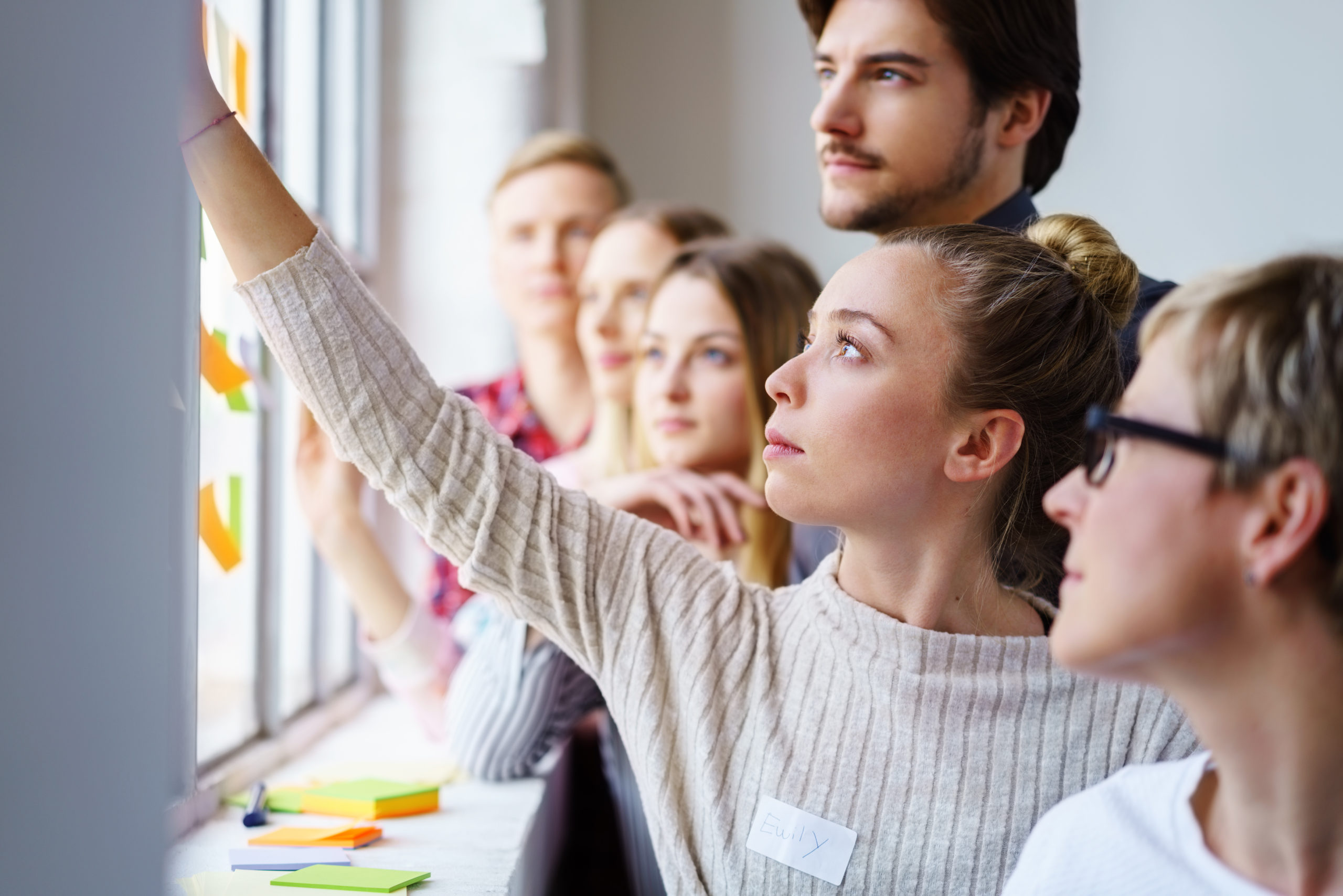 YPO | Learn More About the YPO Membership Requirements