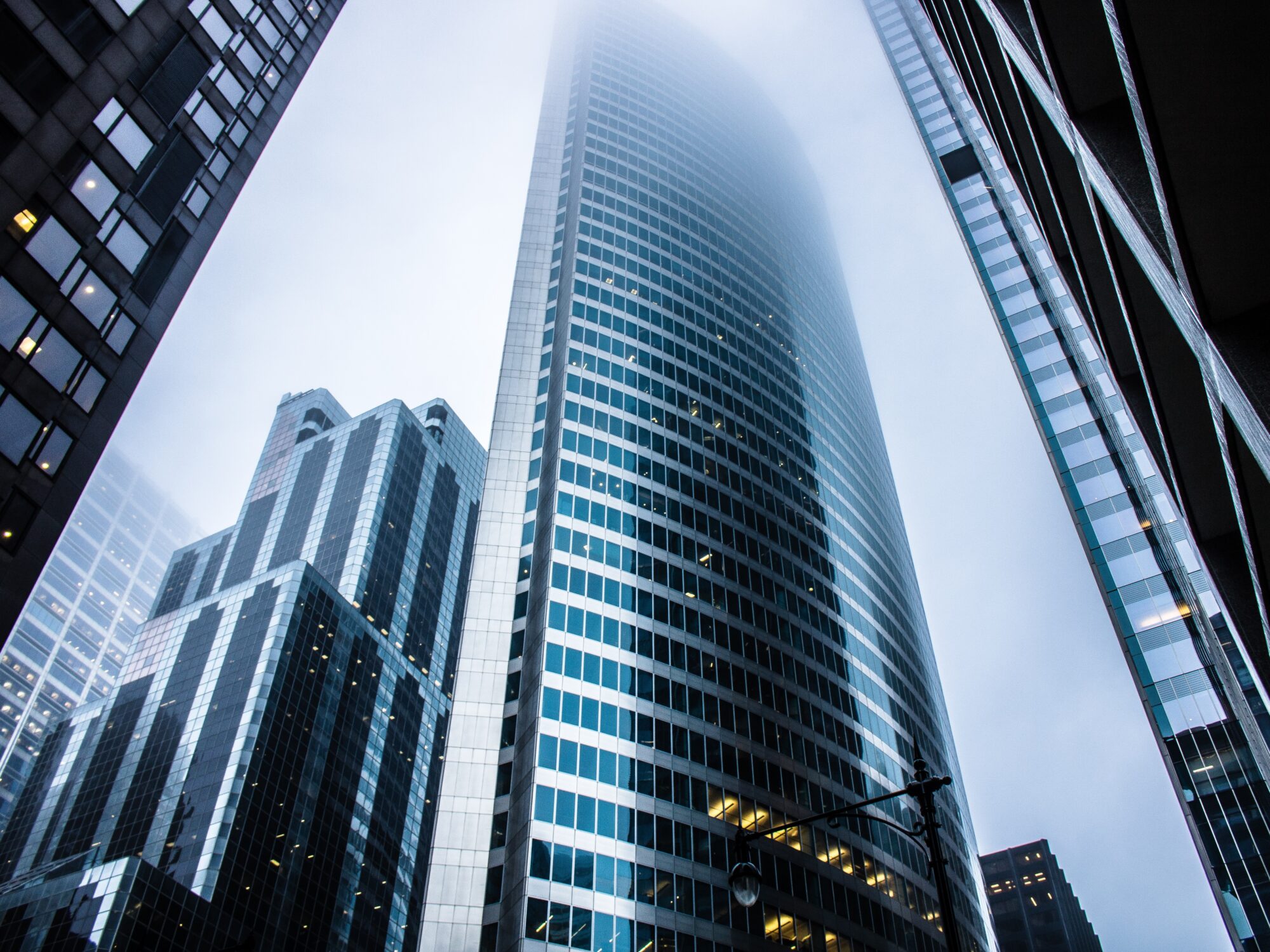 YPO | Beau Necco’s Mission to Find a Forever Home for Every Child